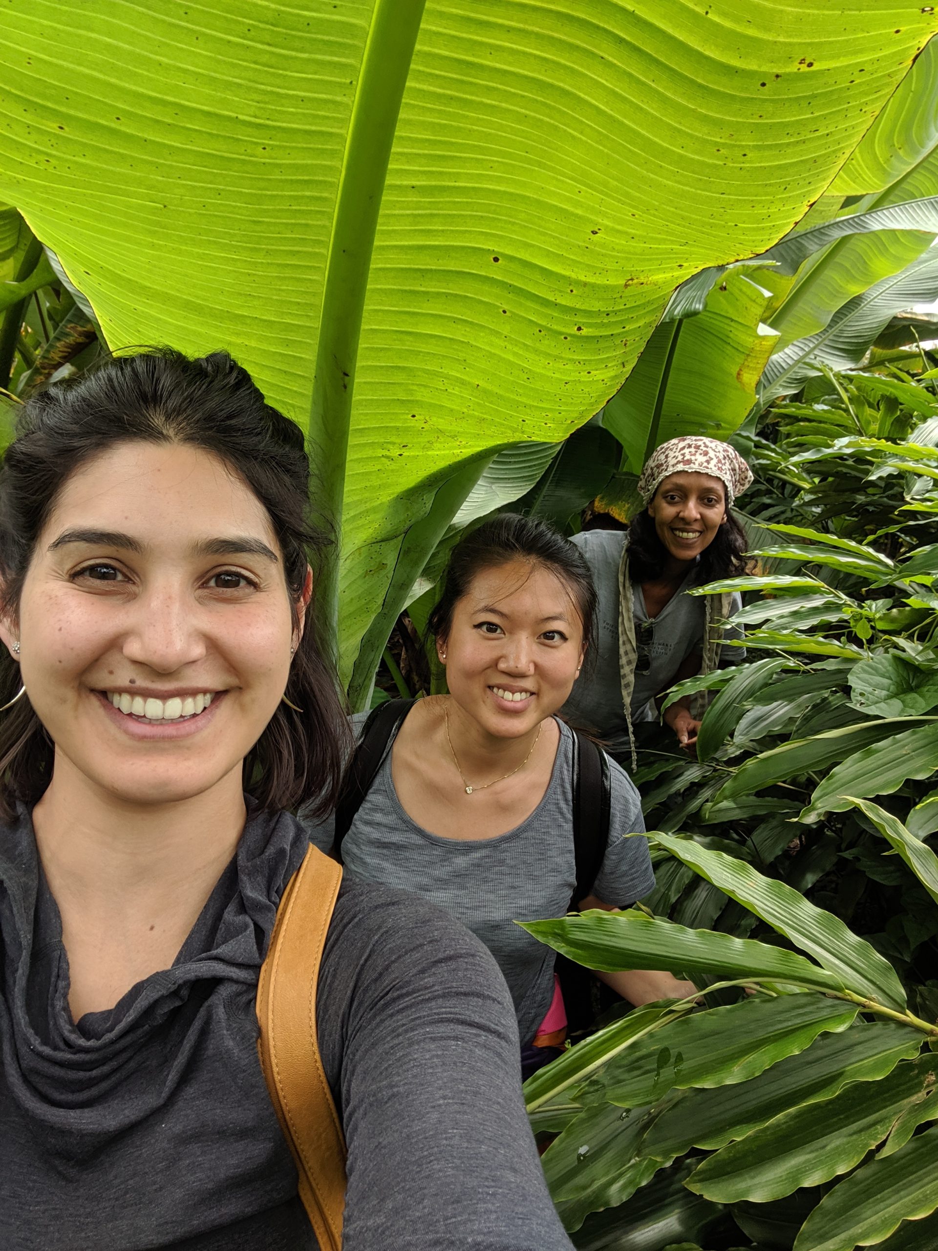 Summer Experience – Yale School of the Environment | Office of Career ...