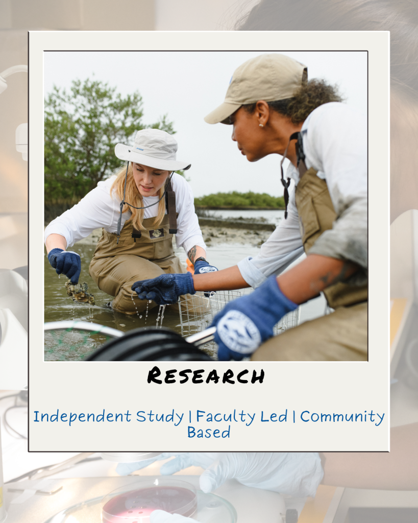 What is Experiential Learning – Career Connections Center University of ...