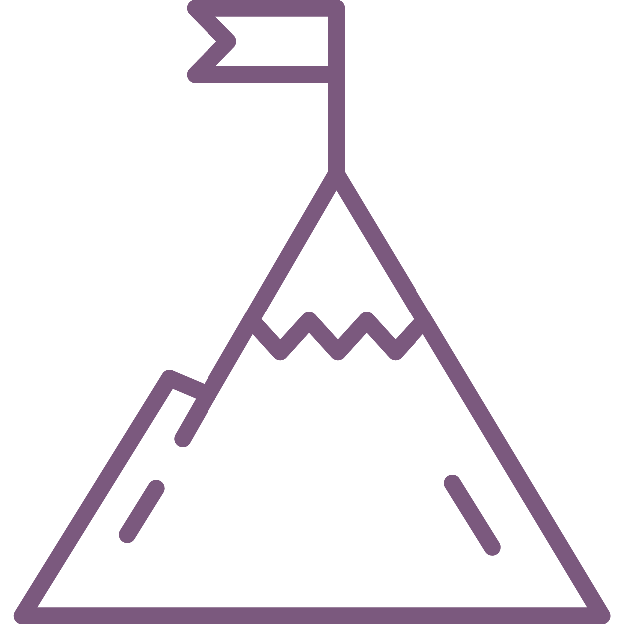 Career Readiness Competencies – Career Services University of South Florida