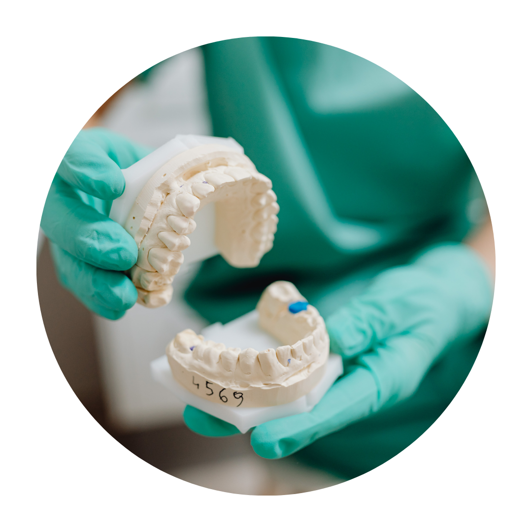 Pre-Dentistry – Georgia Southern Career and Professional Development