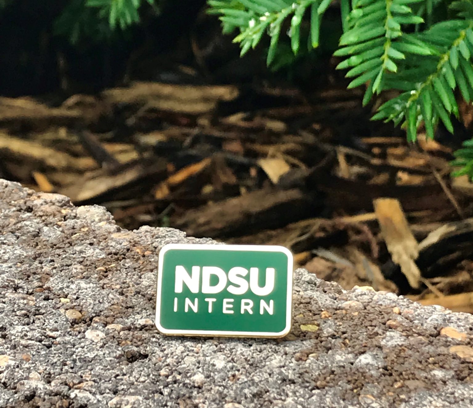 About The NDSU Internship Program – Career and Advising Center – North ...