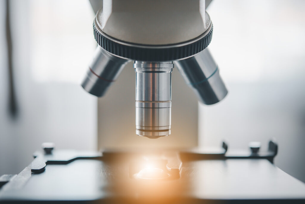 A student’s guide to undergraduate research – Imagine | Johns Hopkins ...