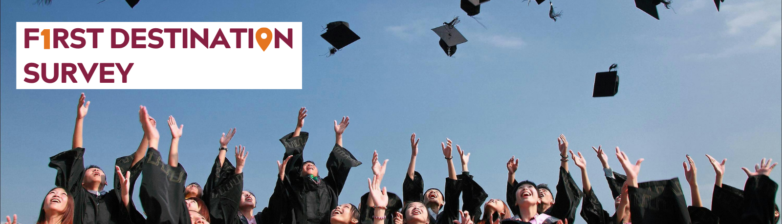 First Destination Survey – Career and Professional Development ...