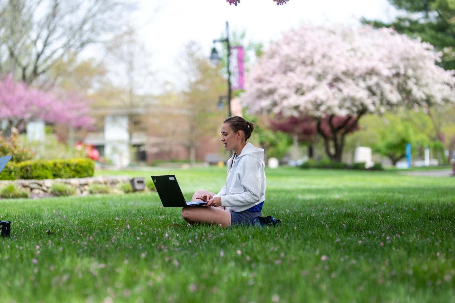 Sports, Media & Communication – Career Hub | Post University