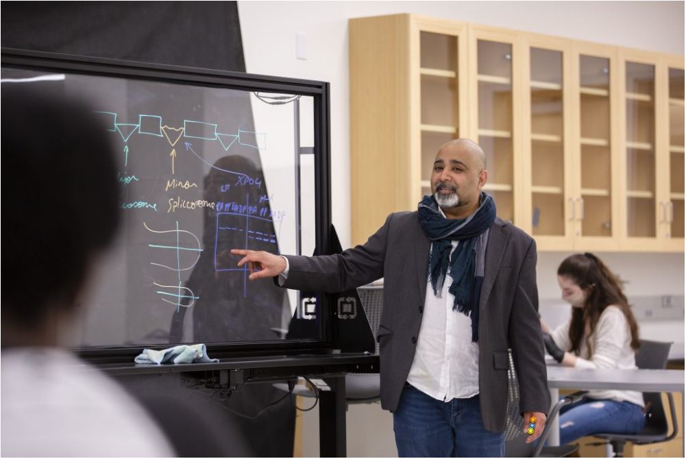 For Undergraduates, Early Research Experience Pays Off – UConn Center ...