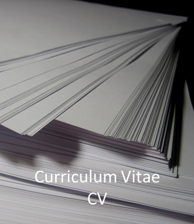 Application materials for the faculty job search – Career Services ...